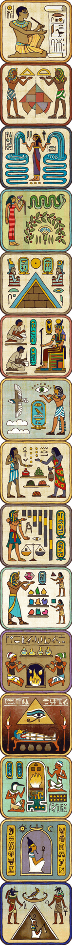 Anocris